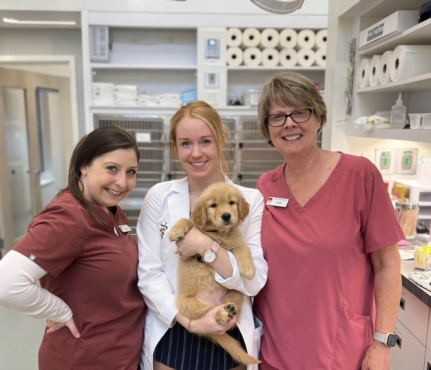 Full-Service Veterinarian for Cats, Dogs, & Exotic Pets in Windham, NH ...